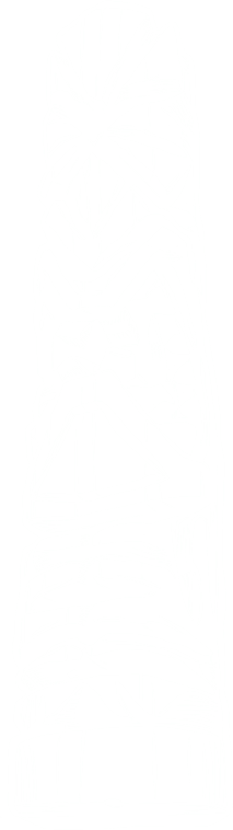 False Idol